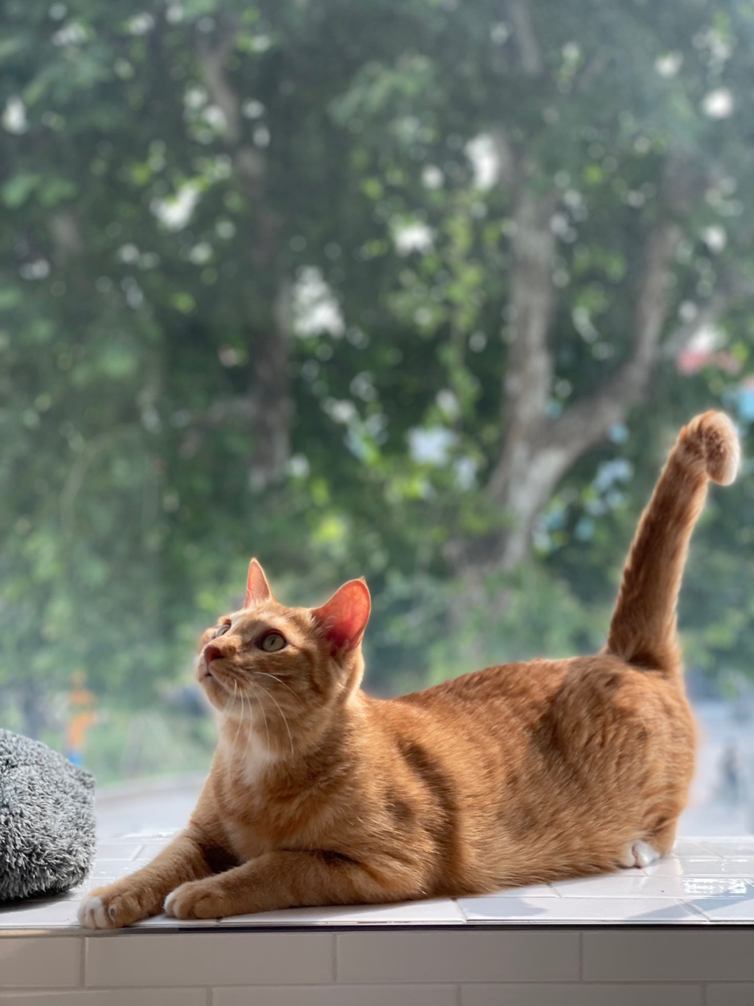 Eden’s Devpedia 🏄